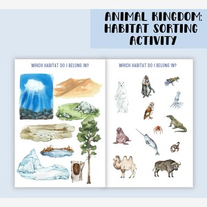 ANIMAL KINGDOM Unit Study Educational Resources for Teachers ...