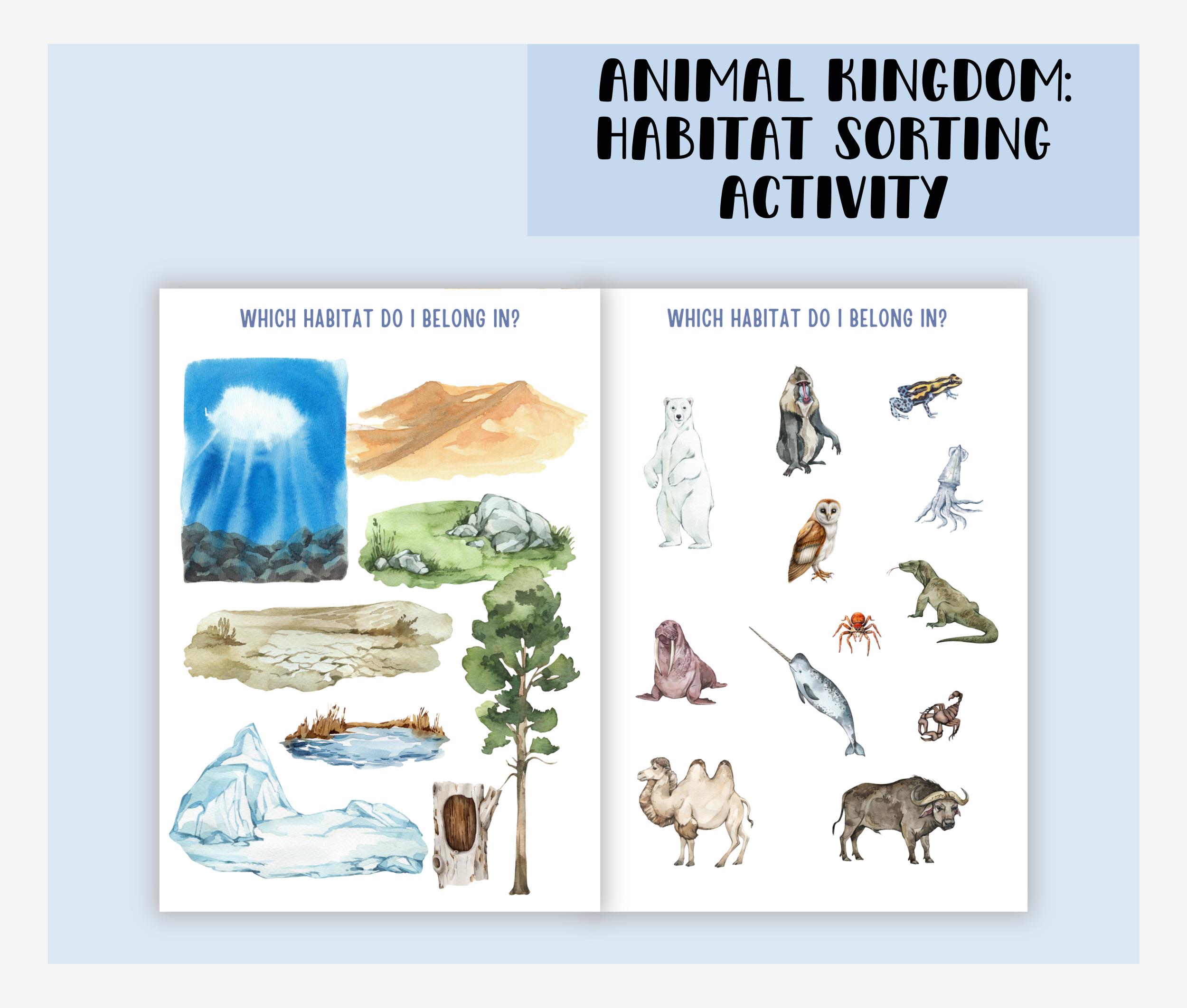 ANIMAL KINGDOM Unit Study Educational Resources for Teachers ...