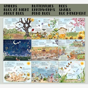Homeschool Unit Study Bundle: Ocean, Bugs, Animals, Human Body (digital ...