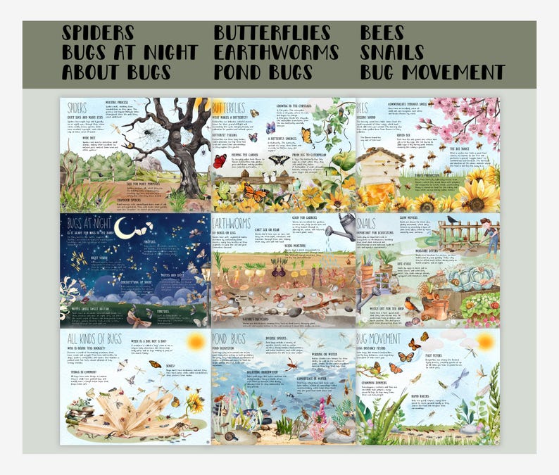 Homeschool Unit Study Bundle: Ocean, Bugs, Animals, Human Body (digital ...