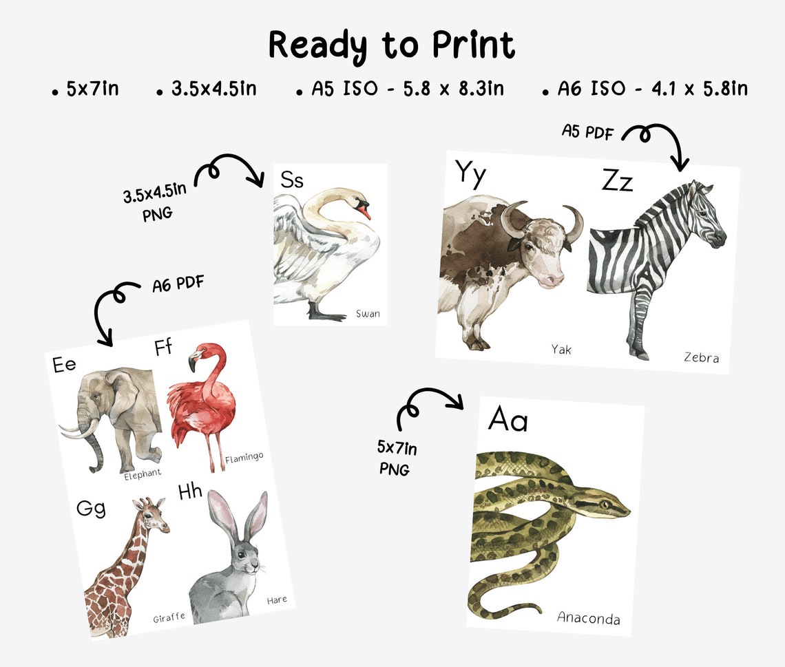 Animal Alphabet Flashcards for Toddlers Homeschool Resources Montessori ...