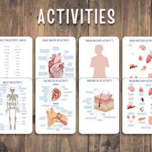Human Anatomy Unit Study Educational Pack for Teachers, Homeschooling ...