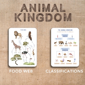 ANIMAL KINGDOM Unit Study Educational Resources for Teachers ...