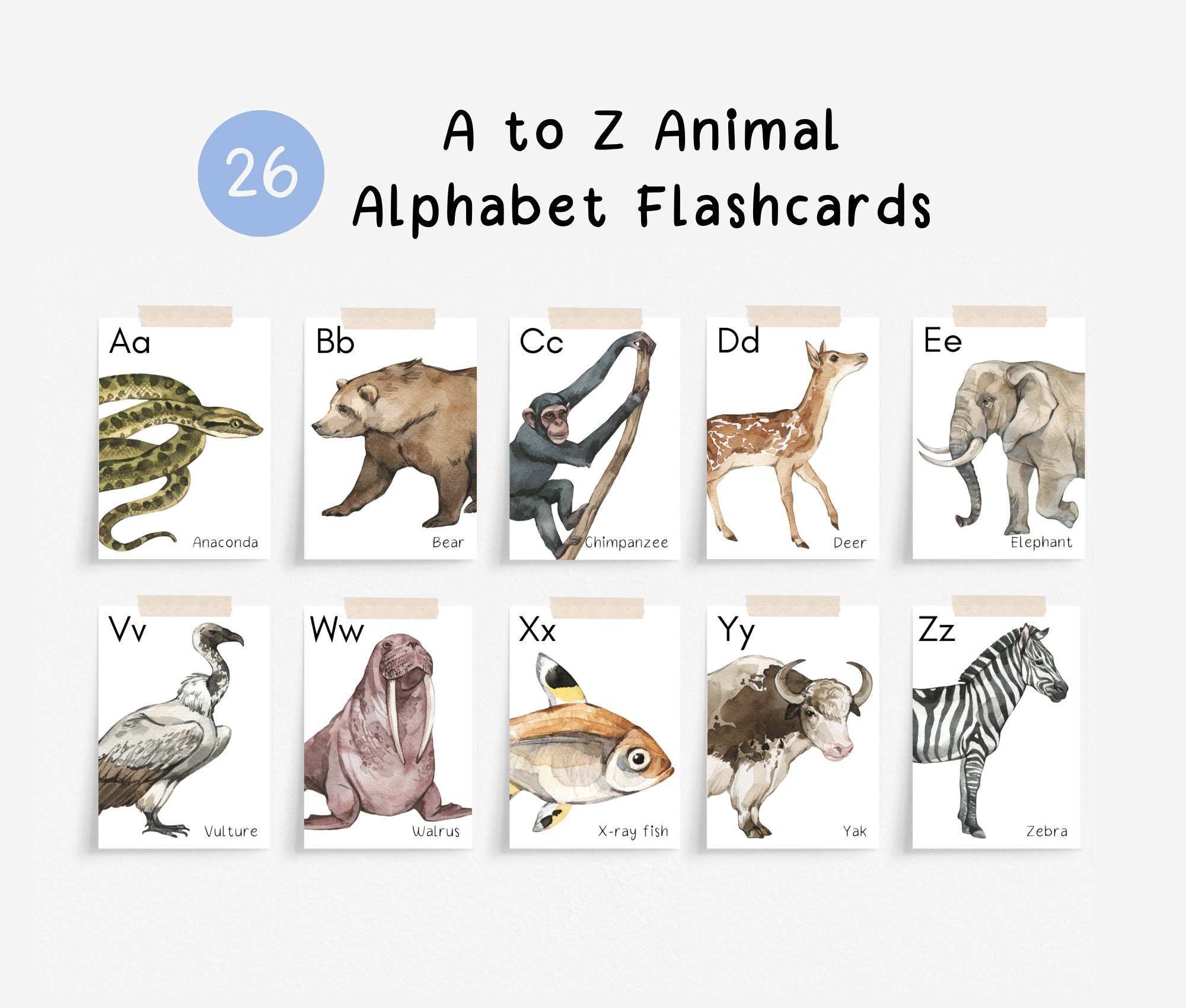 Animal Alphabet Flashcards for Toddlers Homeschool Resources Montessori ...