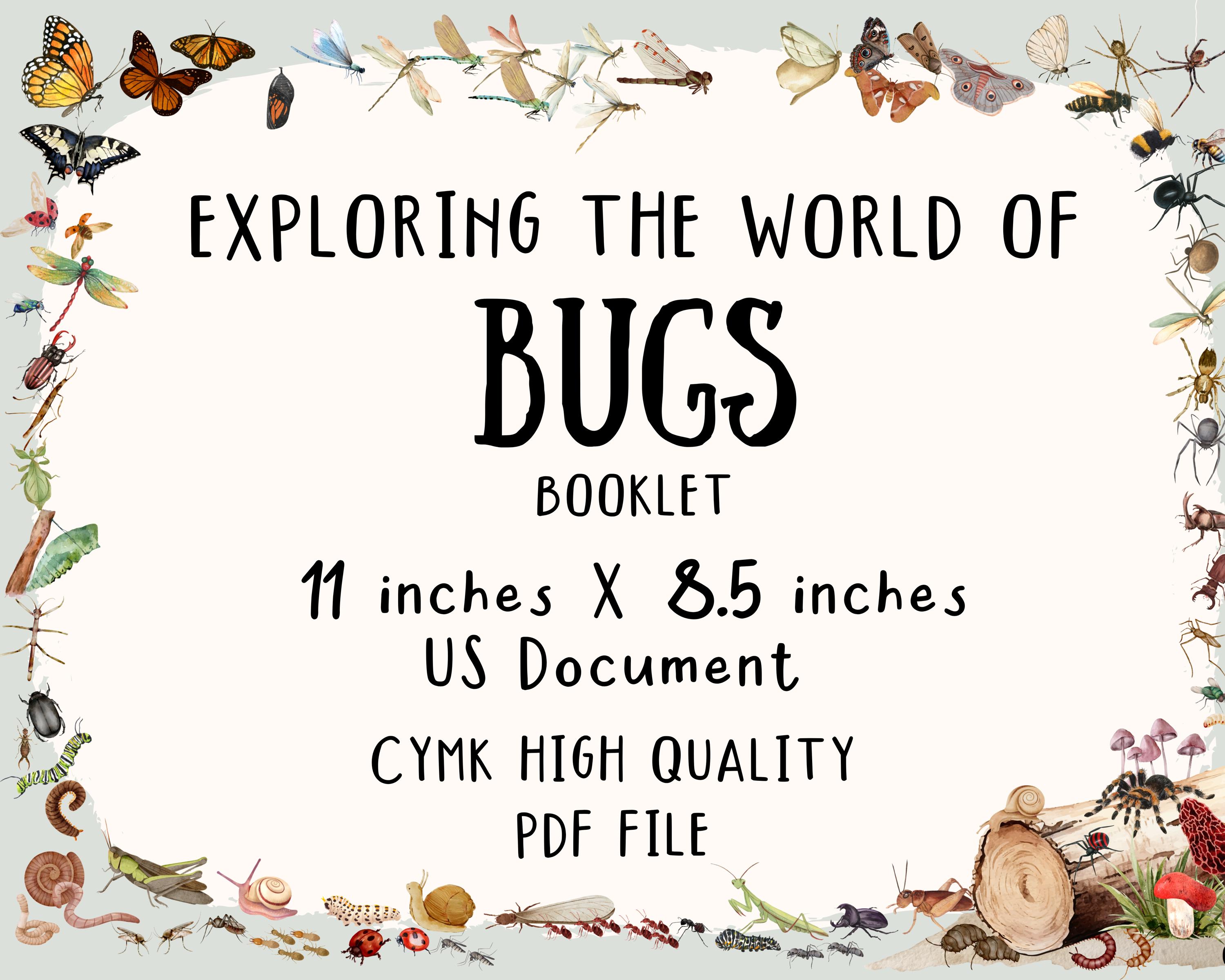Insect Study and Bug Life Cycles for Kids | Printable Booklet With ...