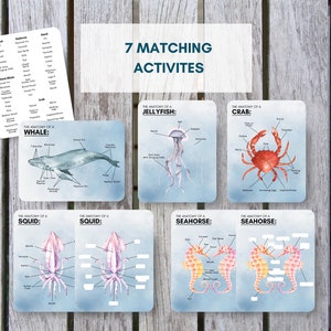 OCEAN Unit Study Educational Resources for Teachers, Homeschool and ...