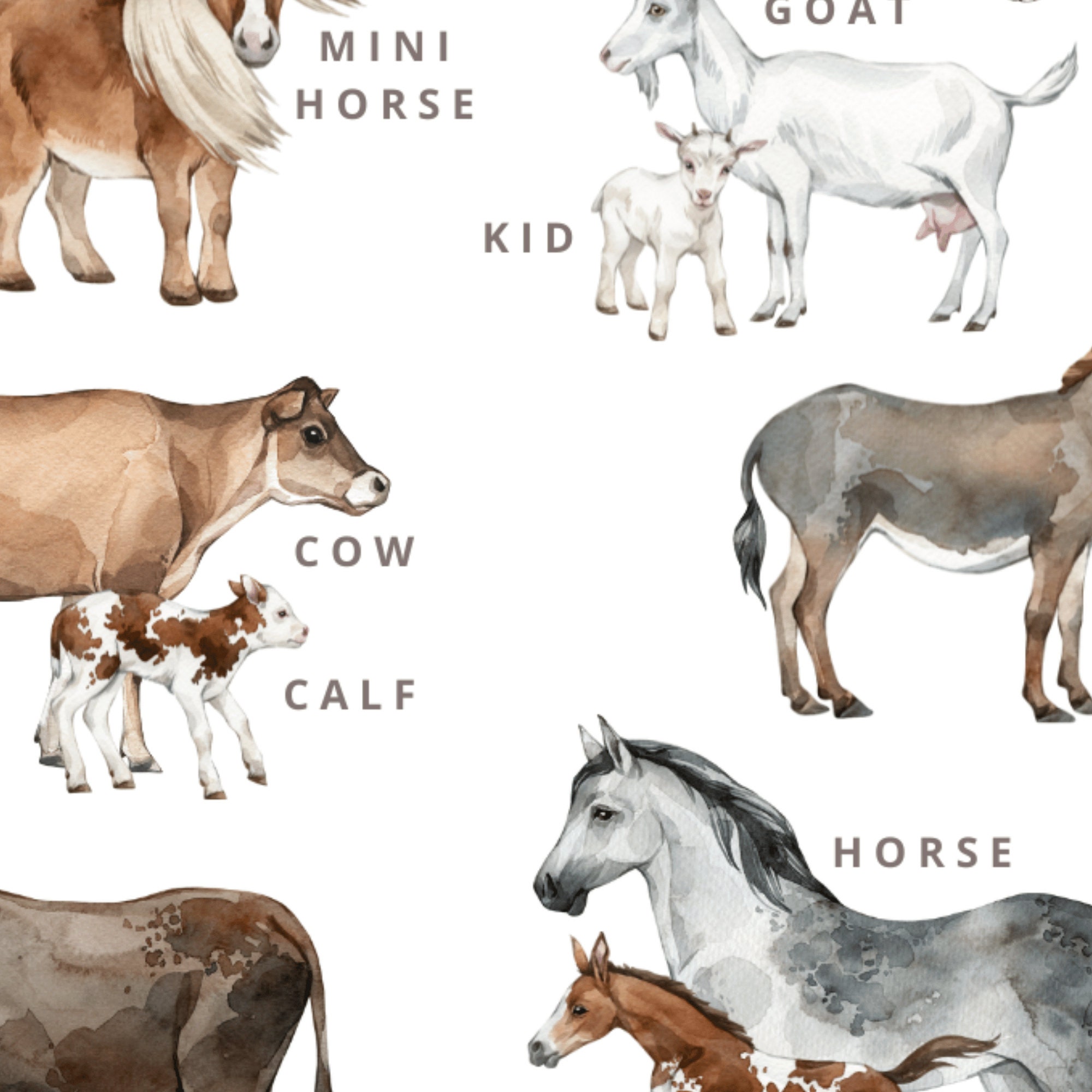 Farm Animals Poster With Stunning Watercolor Illustrations, Nature ...
