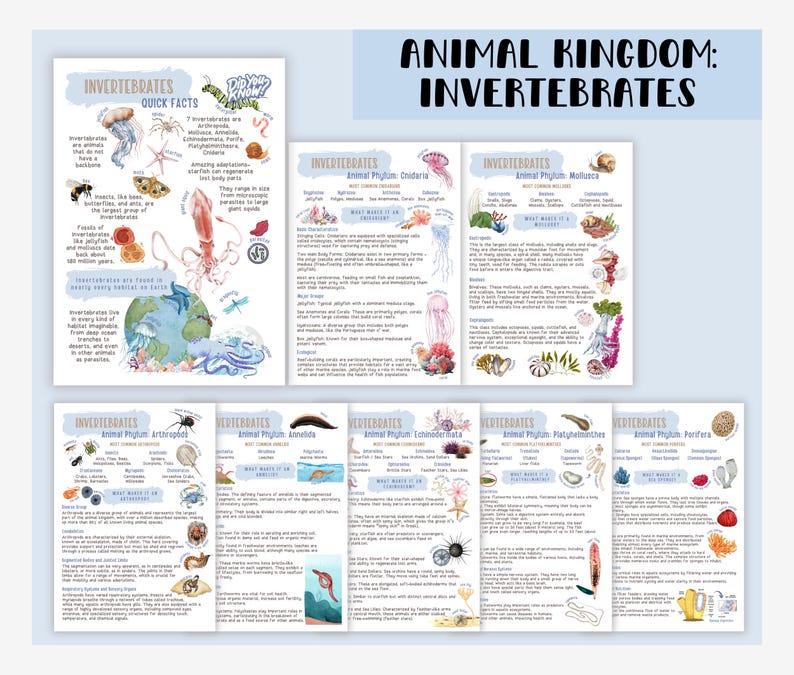 Homeschool Unit Study Bundle: Ocean, Bugs, Animals, Human Body (digital ...