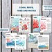 3 Unit Study BUNDLE Educational Resources for Teachers, Homeschool and ...