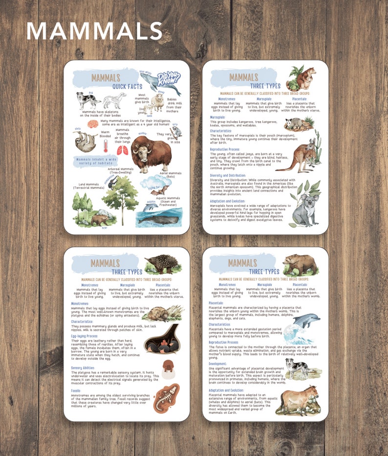 Nature Study Animal Kingdom Educational Pack for Teachers, Homeschool ...