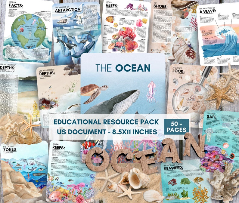 3 Unit Study BUNDLE Educational Resources for Teachers, Homeschool and ...
