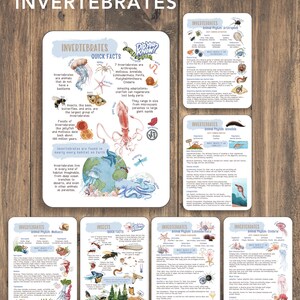 Nature Study Animal Kingdom Educational Pack for Teachers, Homeschool ...