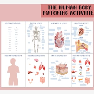 Human Anatomy Unit Study Educational Pack for Teachers, Homeschooling ...