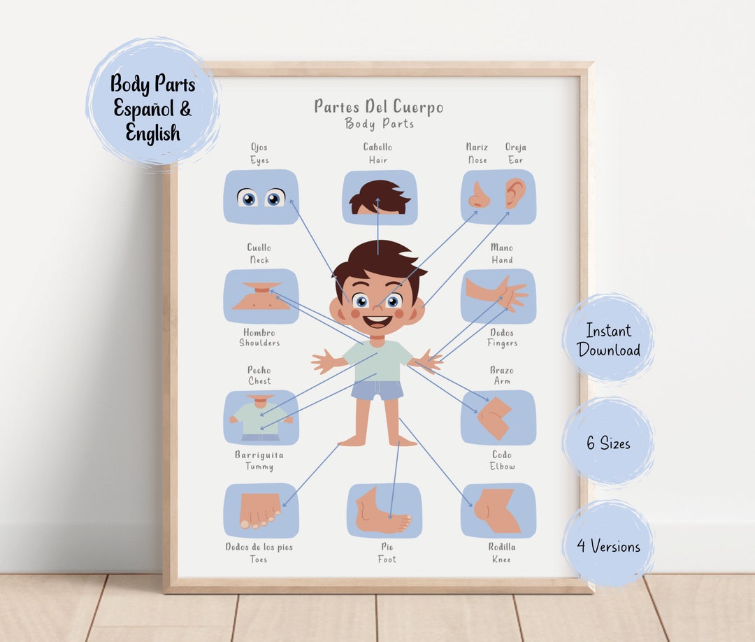 Bilingual Español and English Body Parts Educational Poster, Homeschool ...