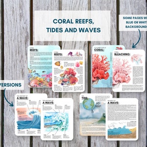OCEAN Unit Study Educational Resources for Teachers, Homeschool and ...