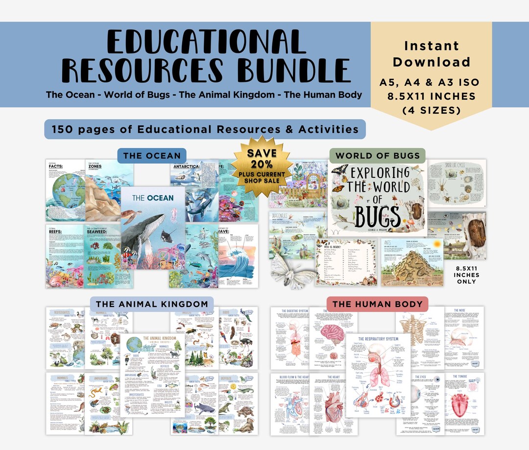 Homeschool Unit Study Bundle: Ocean, Bugs, Animals, Human Body (digital ...