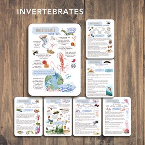 ANIMAL KINGDOM Unit Study Educational Resources for Teachers ...