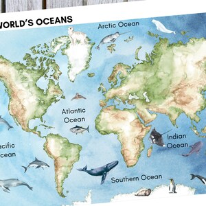 OCEAN Unit Study Educational Resources for Teachers, Homeschool and ...