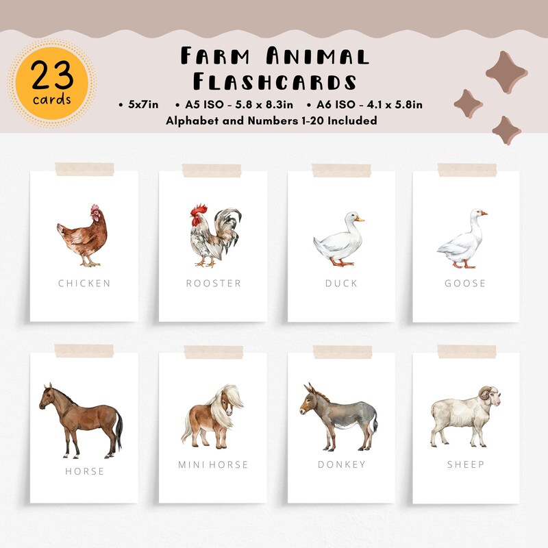 Animal Flash Cards - Etsy