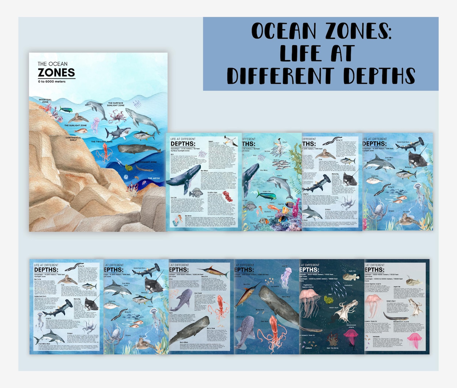 OCEAN Unit Study Educational Resources for Teachers, Homeschool and ...