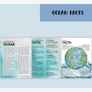 OCEAN Unit Study Educational Resources for Teachers, Homeschool and ...