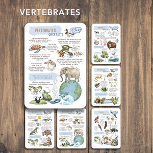 ANIMAL KINGDOM Unit Study Educational Resources for Teachers ...