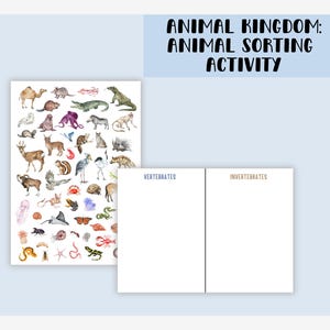ANIMAL KINGDOM Unit Study Educational Resources for Teachers ...