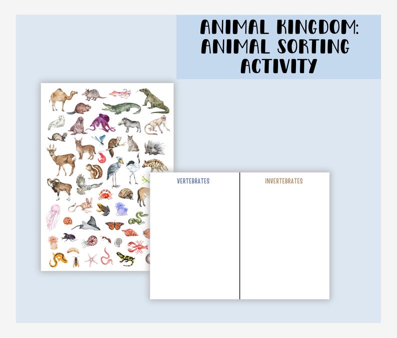 ANIMAL KINGDOM Unit Study Educational Resources for Teachers ...