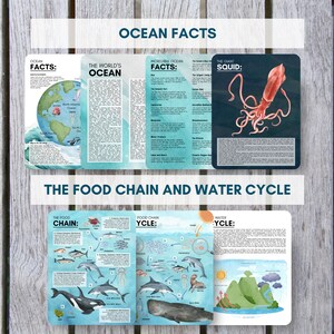 OCEAN Unit Study Educational Resources for Teachers, Homeschool and ...