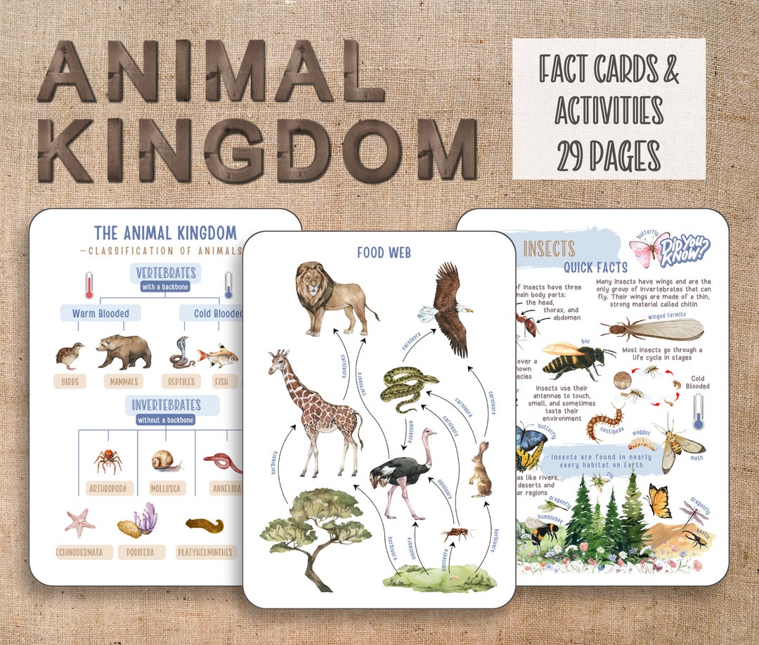 Nature Study Animal Kingdom Educational Pack for Teachers, Homeschool ...