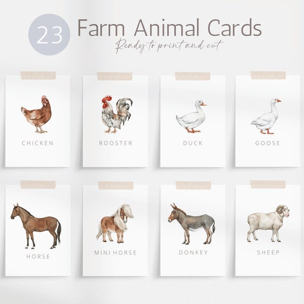 Animal Flash Cards - Etsy