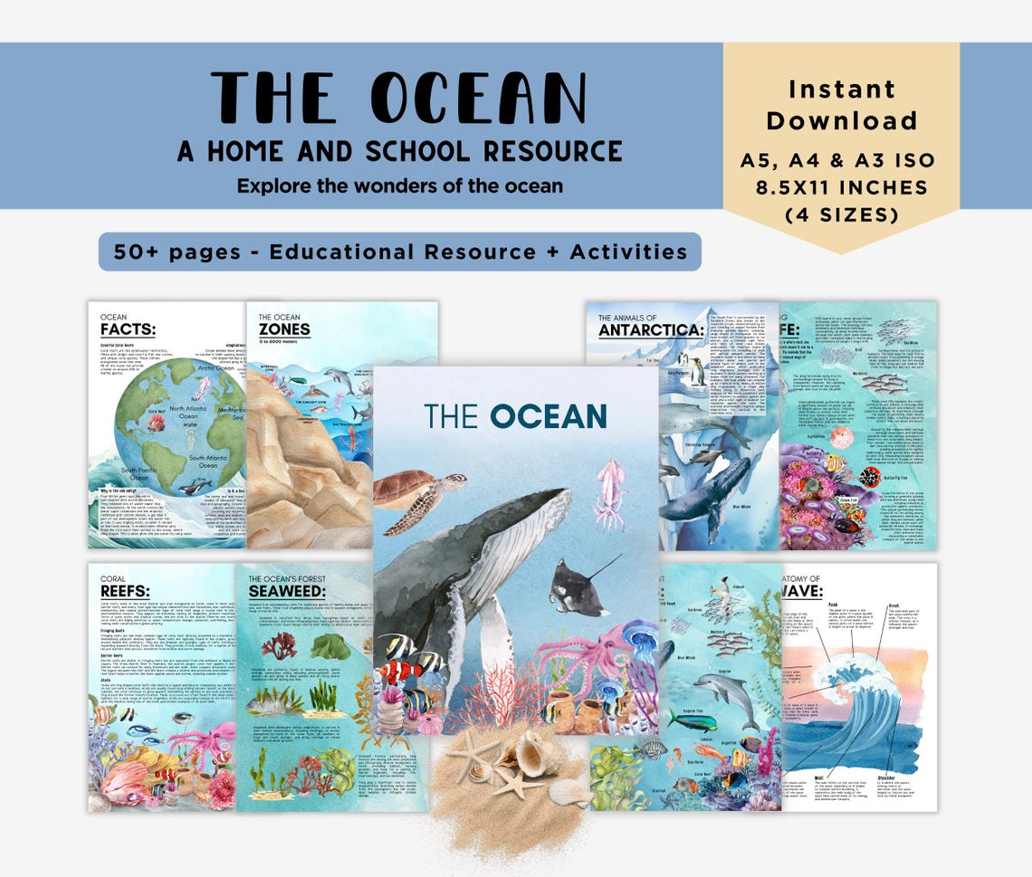OCEAN Unit Study Educational Resources for Teachers, Homeschool and ...