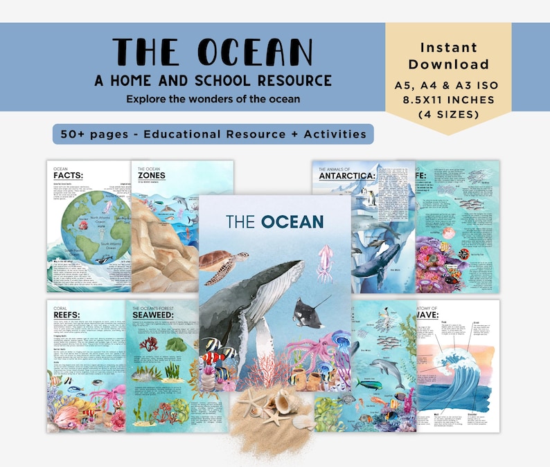 OCEAN Unit Study Educational Resources for Teachers, Homeschool and ...