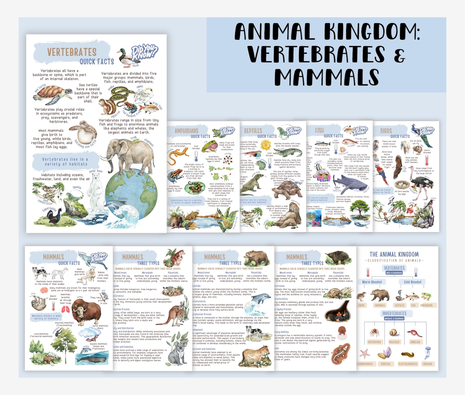 ANIMAL KINGDOM Unit Study Educational Resources for Teachers ...