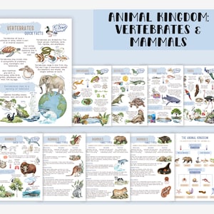 ANIMAL KINGDOM Unit Study Educational Resources for Teachers ...