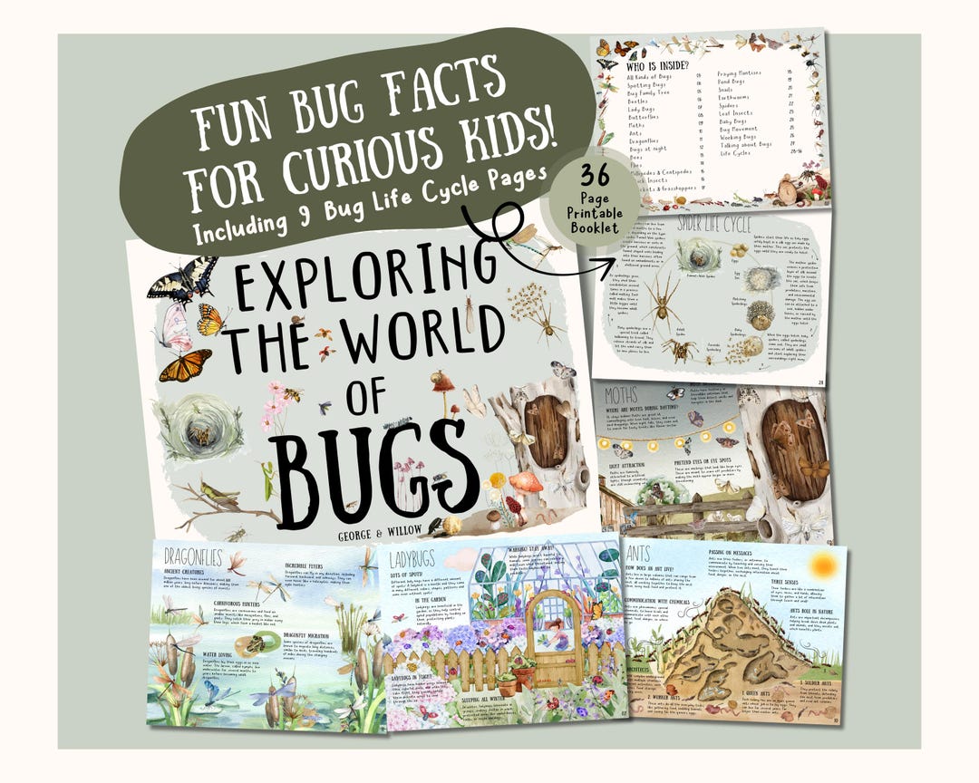 Insect Study and Bug Life Cycles for Kids | Printable Booklet With ...
