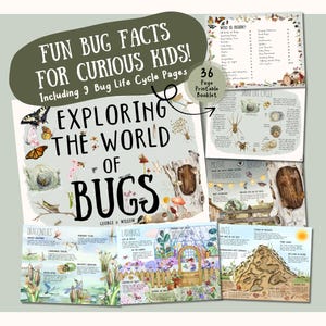 Insect Study and Bug Life Cycles for Kids | Printable Booklet With ...