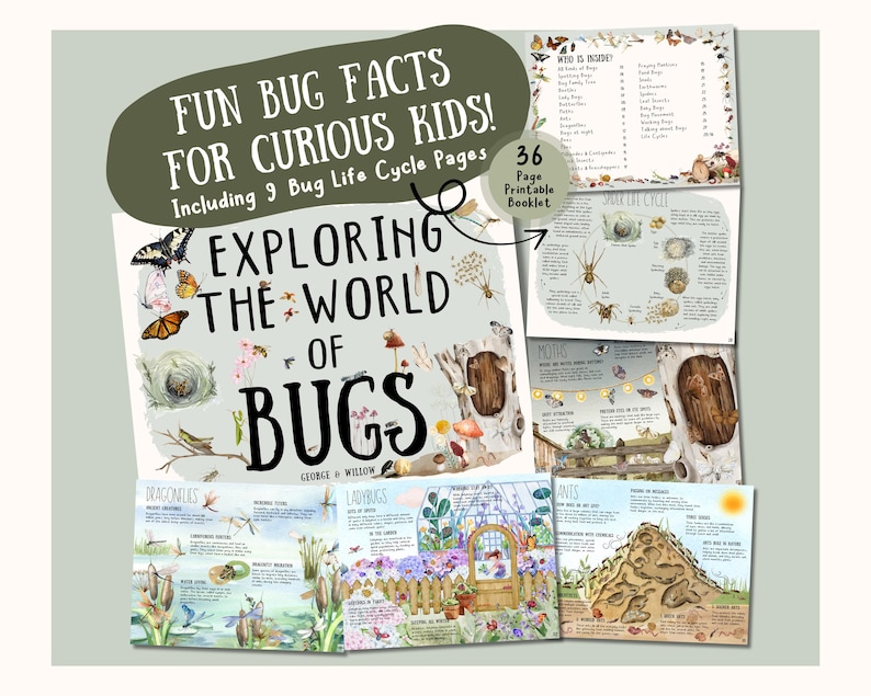 Insect Study and Bug Life Cycles for Kids | Printable Booklet With ...