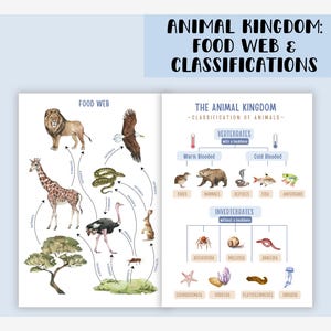 ANIMAL KINGDOM Unit Study Educational Resources for Teachers ...