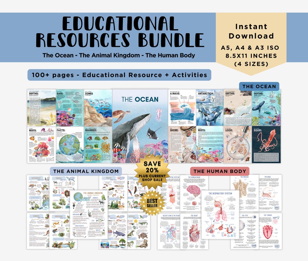 3 Unit Study BUNDLE Educational Resources for Teachers, Homeschool and ...