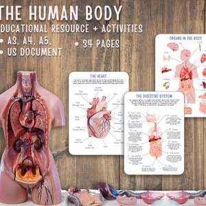 3 Unit Study BUNDLE Educational Resources for Teachers, Homeschool and ...