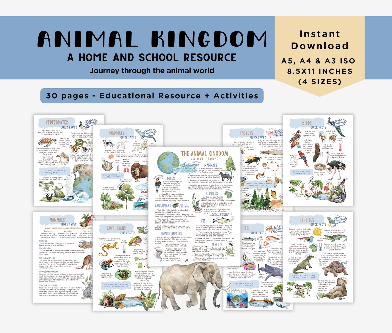 ANIMAL KINGDOM Unit Study Educational Resources for Teachers ...