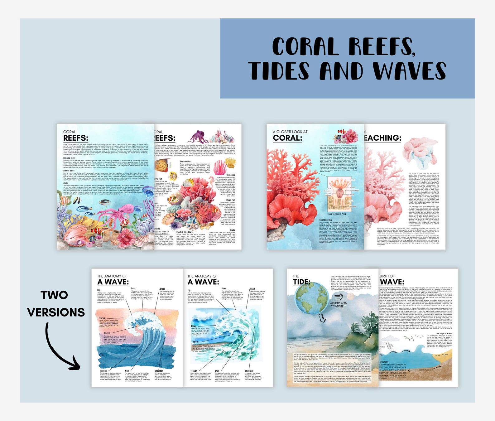 OCEAN Unit Study Educational Resources for Teachers, Homeschool and ...