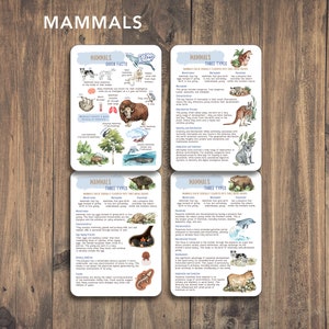 ANIMAL KINGDOM Unit Study Educational Resources for Teachers ...