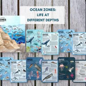 OCEAN Unit Study Educational Resources for Teachers, Homeschool and ...
