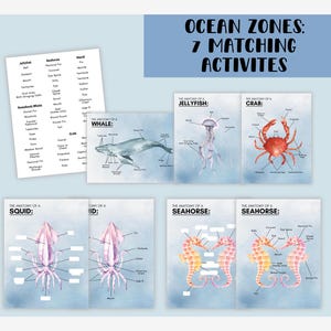 OCEAN Unit Study Educational Resources for Teachers, Homeschool and ...