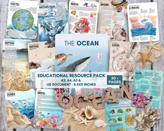 Ocean STEM Activities Challenges Earth Science Oceanology Zones ...