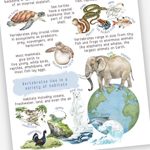 ANIMAL KINGDOM Unit Study Educational Resources for Teachers ...