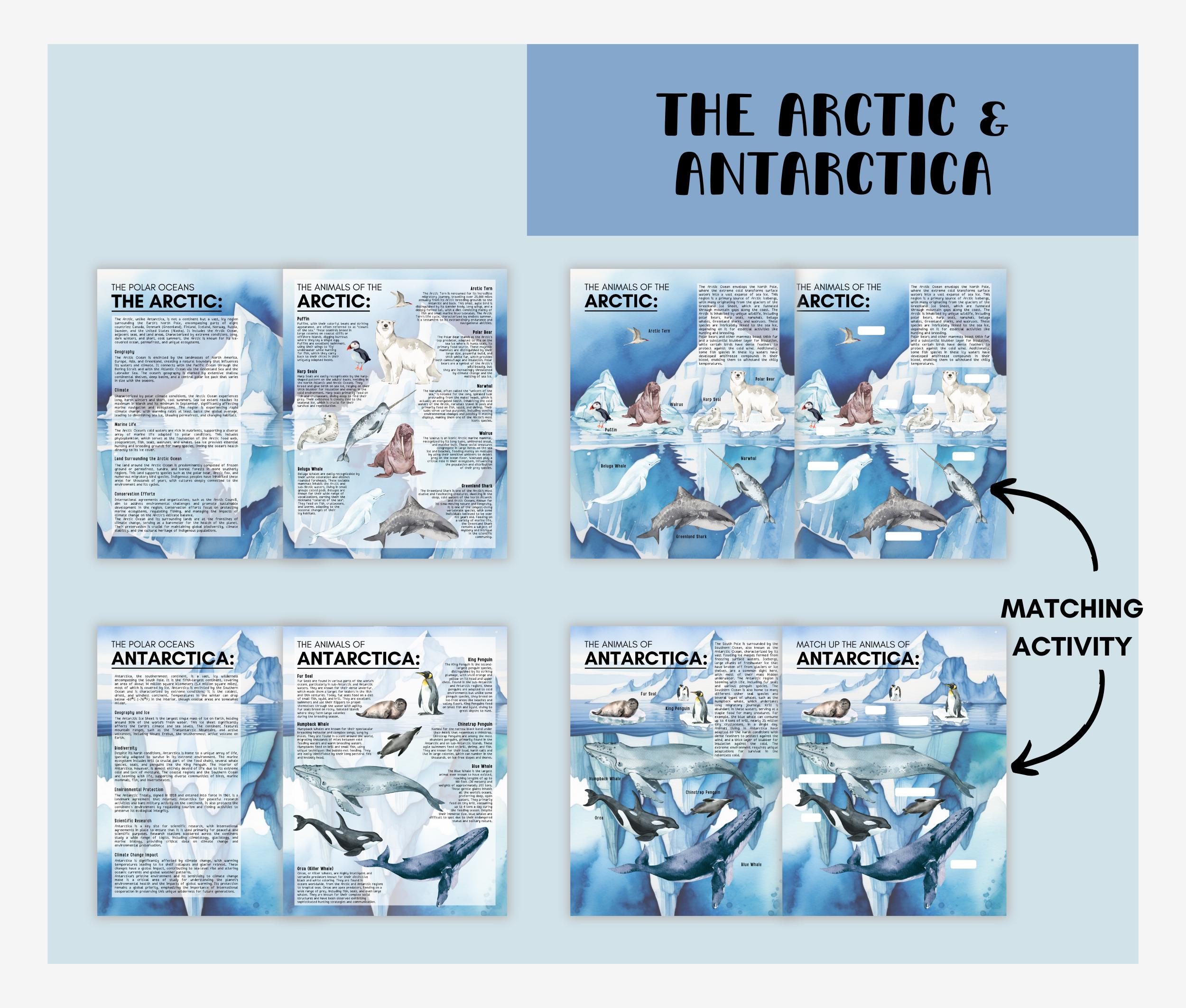 OCEAN Unit Study Educational Resources for Teachers, Homeschool and ...