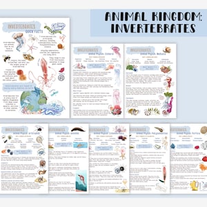 3 Unit Study BUNDLE Educational Resources for Teachers, Homeschool and ...
